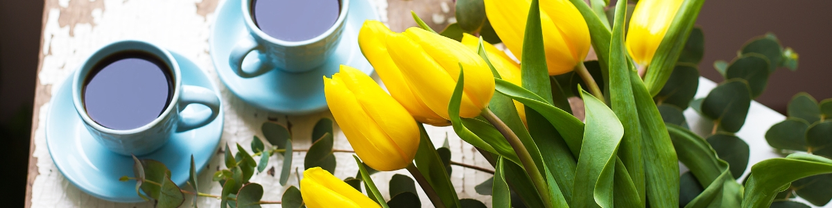 Homeware Products - Over 1000 products in stock - Sunny's – Sunny's ...