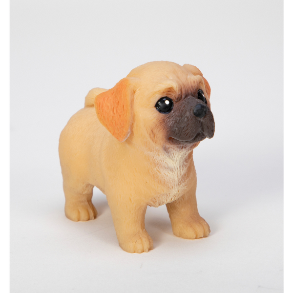 Pocket Pups – Sunny's Variety Stores