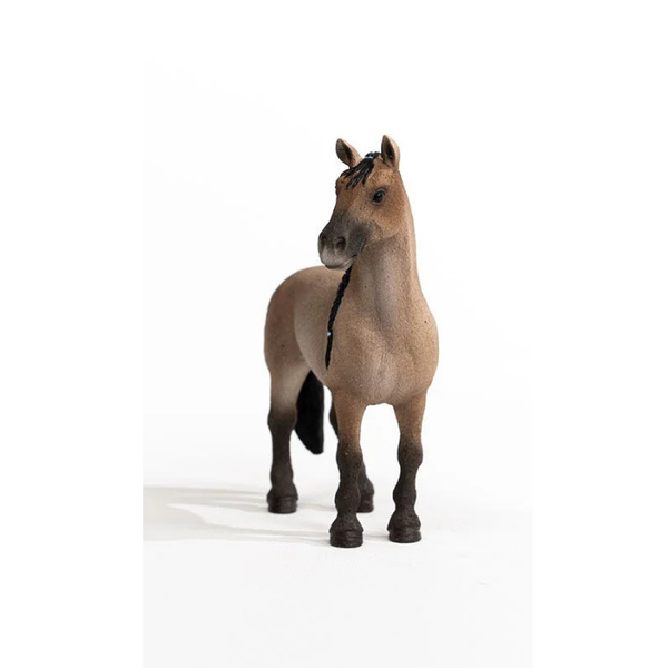 Schleich - Criollo Definitivo Mare (Grey Dot) – Sunny's Variety Stores