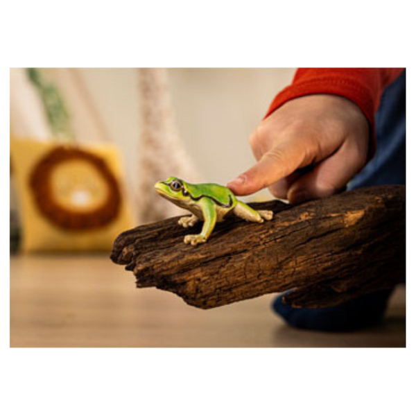 Schleich - European Tree Frog (Green Dot) – Sunny's Variety Stores