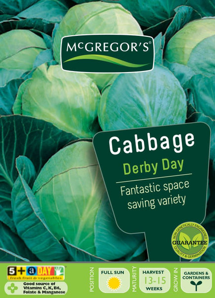 SEEDS M6200 CABBAGE DERBY DAY – Sunny's Variety Stores
